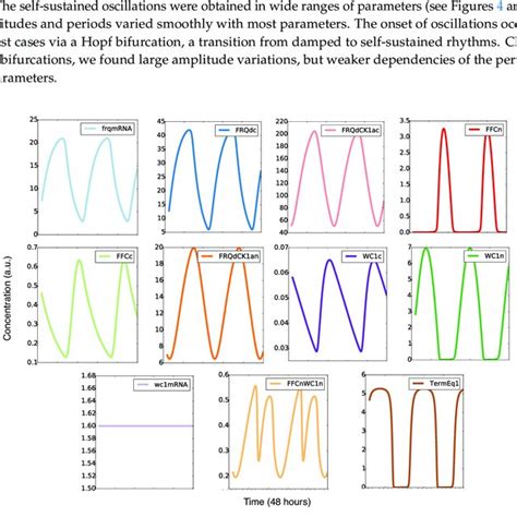 simulated time series there are sinusoidal and spike like waveforms