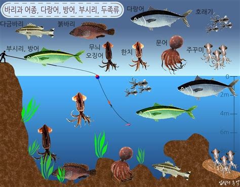 바다낚시 어종 감성돔 방어 참돔 벵에돔 고등어 숭어 볼락 의 유영층 입질 낚시상식 행복만들며살기 바다낚시 낚시 일몰