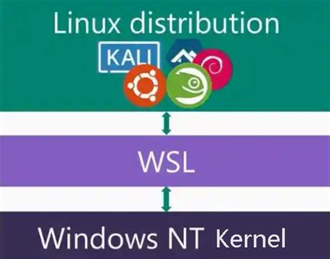 Windows Server和windows 10一样不，二者有什么区别差异？ 惠主机