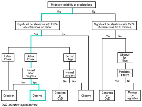 Category Ii Management Algorithm