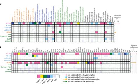 Phewas Matrix Plot Of Significant Snps Associated With Dietary Download Scientific Diagram