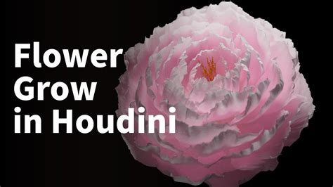 how make organic flower grow houdini tutorial youtube
