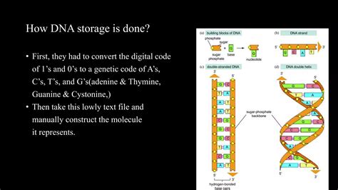 Rebooting Computing The Next Phase Of Moores Law Quantum Computing Biological Cmputing Ppt