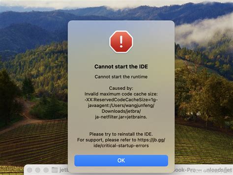 已解决 Mac使用更改ideavmoptions文件导致idea打不开
