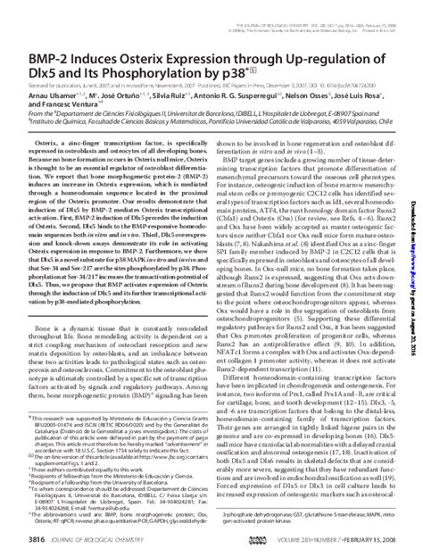 Pdf Bmp2 Induces Osterix Expression Through Up Regulation Of Dlx5 And