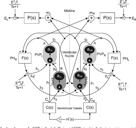 Figure 1 From A Nonlinear Model For Context Dependent Modulation Of The