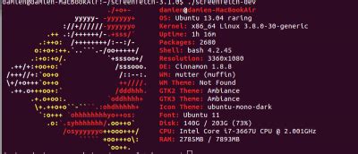 Find Out Your System Information In Terminal With ScreenFetch