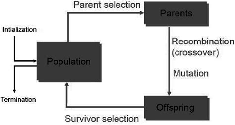 Evolutionary Selection Of Investment Strategies Download Scientific