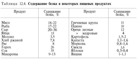 Переваривание белков биохимия кратко