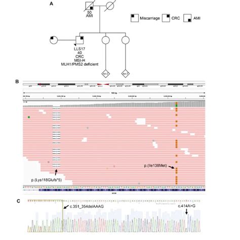 A Representation Of The Suggested Acmg Algorithm For Lynch Syndrome Download Scientific
