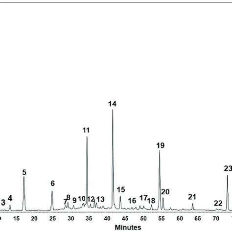 280 Nm Hplc Chromatogram Of The Phenolic Containing Watermethanol