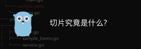 【go语言精进之路】构建高效go程序：了解切片实现原理并高效使用切片软件开发语言环境、算法、通信协议 Csdn博客