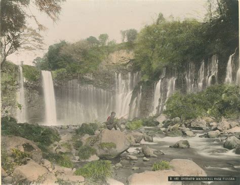 Япония в цвете. Часть 85: humus — LiveJournal