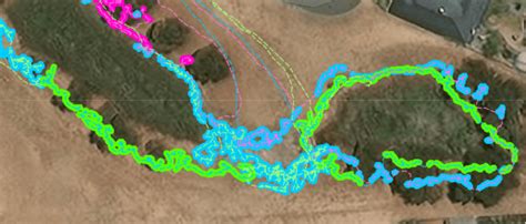 Mapping Trees During Planting Geography Realm