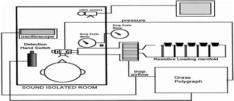 Inspiratory Strengthening Effect On Resistive Load Detection Medicine And Science In Sports