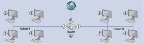 Module 2 Chapter 4 6 Flashcards Quizlet