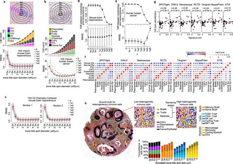 Stie Single Cell Level Deconvolution Convolution And Clustering In In Situ Capturing Based