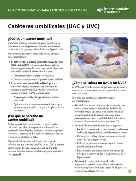 Umbilical Catheters Uac And Uvc Fact Sheet Spanish Pdf Terapia Intravenosa Causas De La