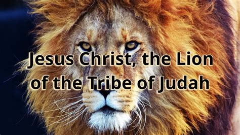 Lion Of The Tribe Of Judah Wallpapers Wallpaper Cave