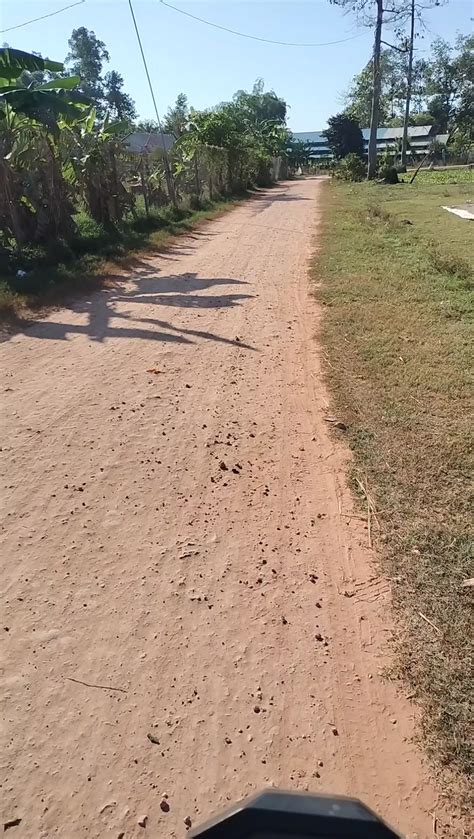 Primitive Girls On Reels