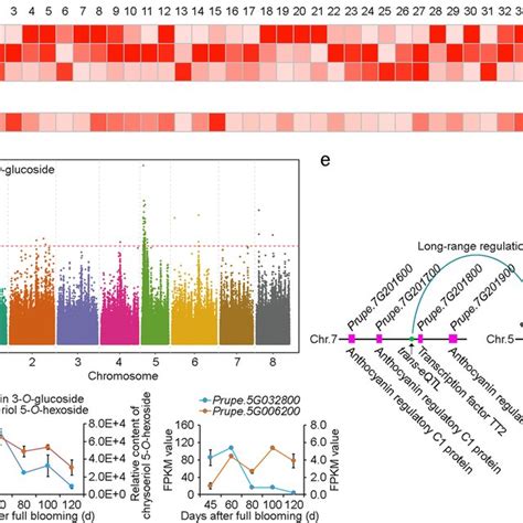Identification Of Candidate Genes In The Lead Snp Hotspots Associated