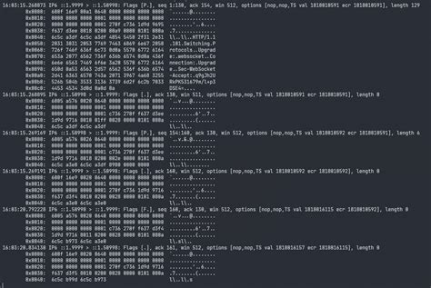 构建的websocket server 在处理operation code 写入返回帧数据异常 Issue cloudwego netpoll GitHub