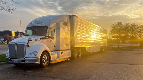 About Us Cargo Runner Co