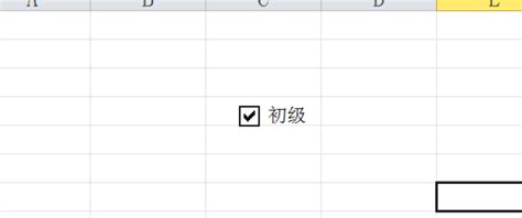 如何在excel中设置复选框 按钮 新知