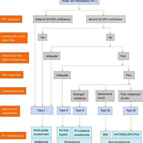 A Proposed Algorithm For The Tailored Portal Vein Thrombosis