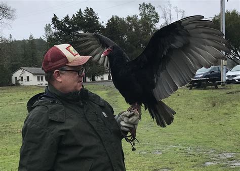 This Luna Moth Has Been Sitting On This Chair For Over 24hrs In Our