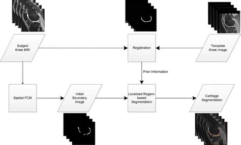 proposed overall algorithm download scientific diagram