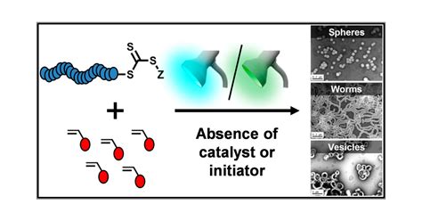 Visible Light Mediated Polymerization Induced Self Assembly In The Absence Of External Catalyst