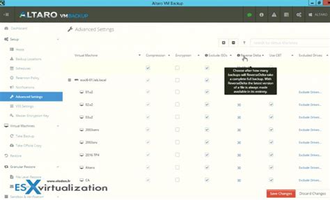 Altaro VM Backup Best Practices ESX Virtualization
