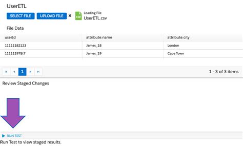 Data Transfer Into Salesforce Interaction Studio Via CSV Salesforce Ben