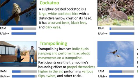 Figure 1 From Inject Semantic Concepts Into Image Tagging For Open Set Recognition Semantic