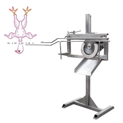 Automatic Head Cutting Machine Best Mate Equipment Supplier