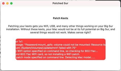 Patch Kexts End With Error 1x1 On My Mbp Early 2013 Rbigsurpatcher
