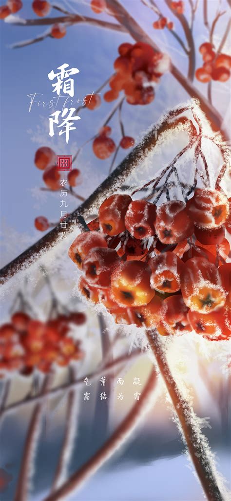 霜降节气稿件赛赛也还好 站酷zcool