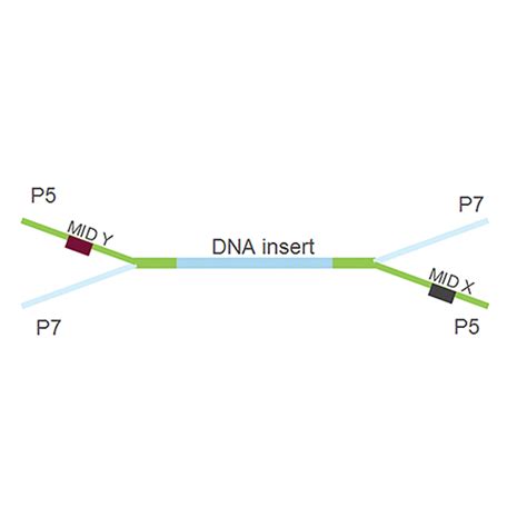Product Categories Assay And Extraction Kits Scimed Asia Pte Ltd A Member Of Phc Group