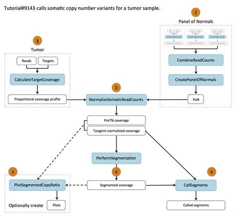 Gatk Docs Gatk4 Beta How To Call Somatic Copy Number Variants Using Gatk4 Cnv Md At Master
