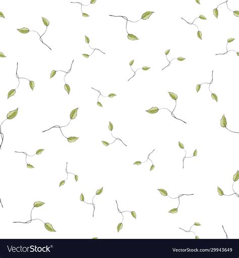 Hand Drawn Elements Brances In Natural Summer Vector Image