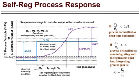 Control Strategies For Process Dynamic Responses