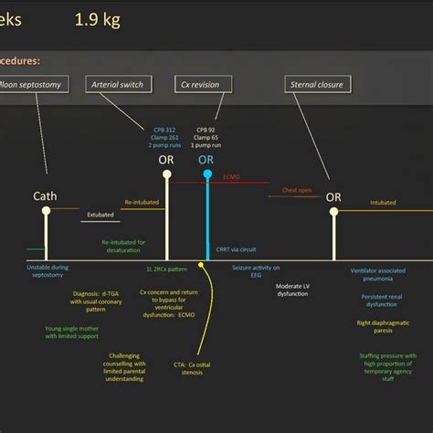 Edgar Scheins Cultural Framework Schein Outlines Three Levels Of Edgar Scheins Cultural Framework Schein Outlines Three Levels Of