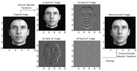 Dwt Preprocessed Image Download Scientific Diagram