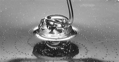 2 Inside A Quite Narrow Region Of The Control Parameter Space The Download Scientific Diagram