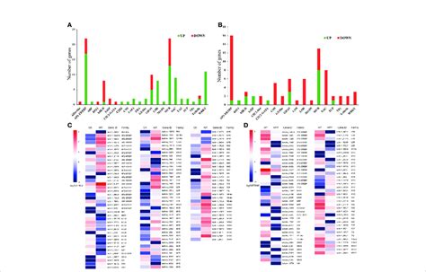 Degs Coding Transcription Factors Based On Their Assigned Protein