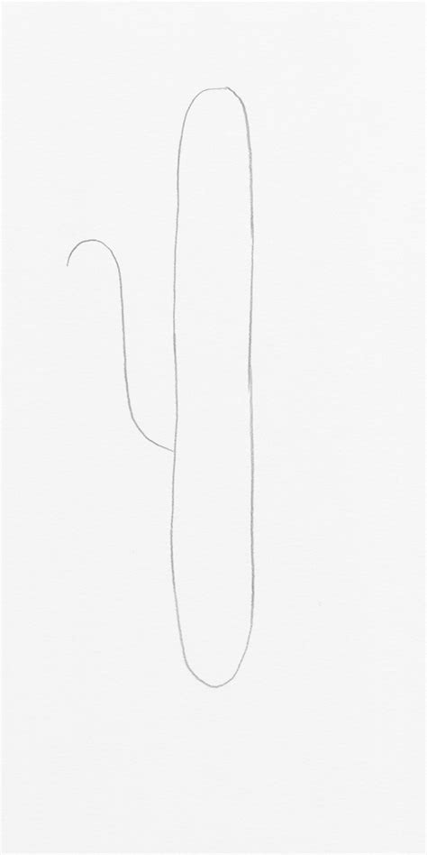 Learn How To Draw A Cactus In X Steps