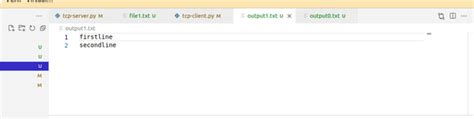 File Transfer Using Tcp Socket In Python Geeksforgeeks