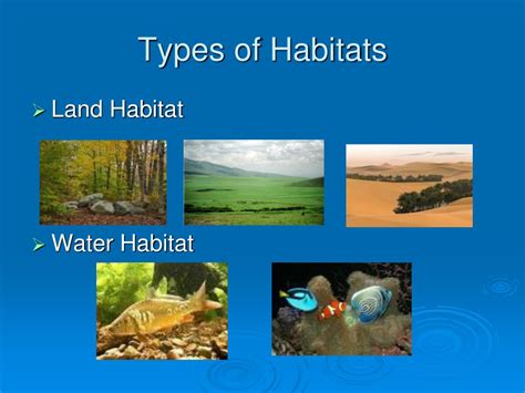 Habitat Water Meaning At Francisco Donnelly Blog