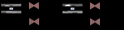 training the denoising auto encoders for the second and third proposed